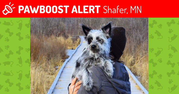 Lost Male Dog in Shafer, MN 55074 Named Corvo (ID: 4634717) | PawBoost