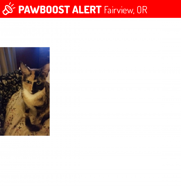 Fairview, OR Lost Female Cat, Lenore Is Missing | PawBoost