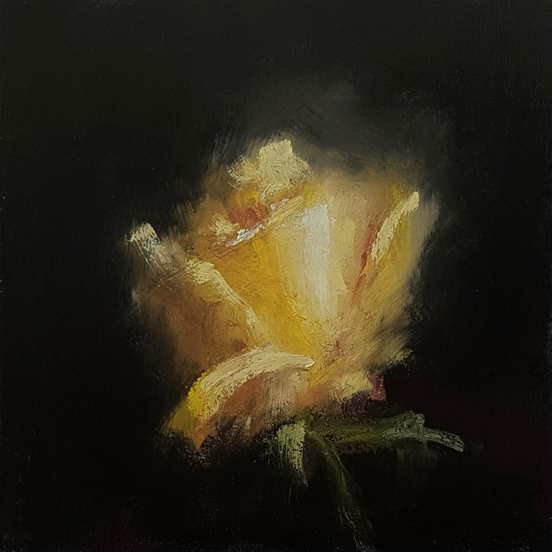 "Yellow Rose" by Neil Carroll