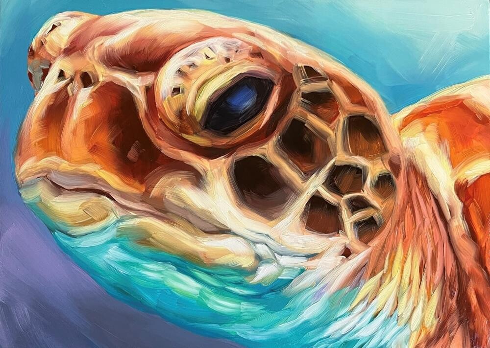 "Loggerhead Sea Turtle Study" by Holly Storlie