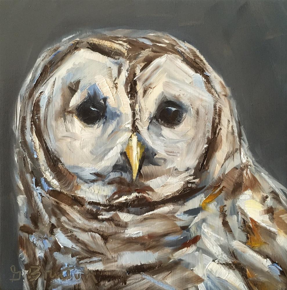 "Barred Owl" by Gary Bruton