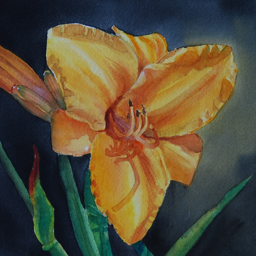 "Golden Lily" by Mary Anderson