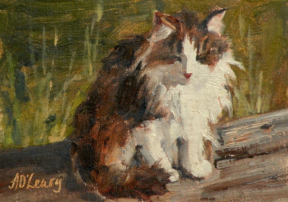 "Cat Nap" by Alice O'Leary