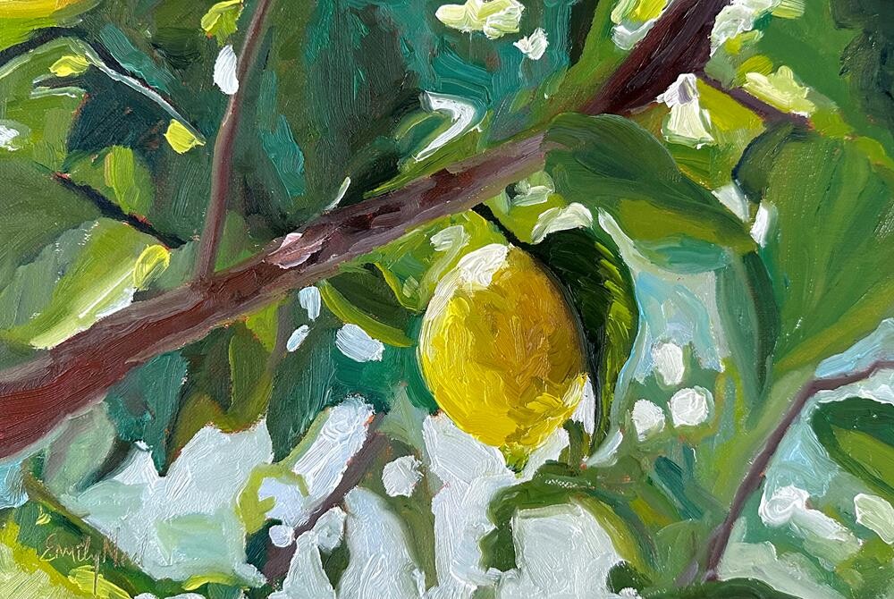"Lemon Tree" by Emily Neel