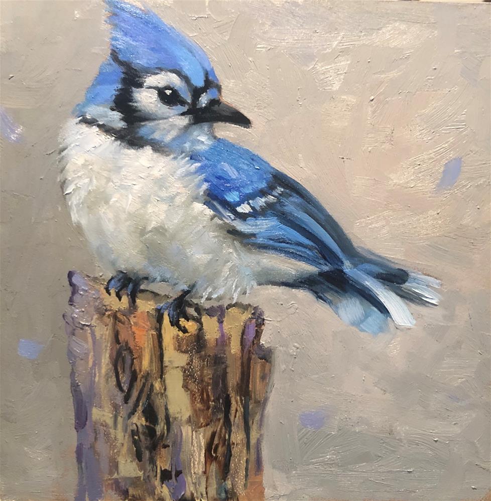 "Blue jay" by Krista Eaton