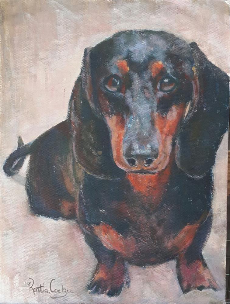 "Shasha" by Rentia Coetzee