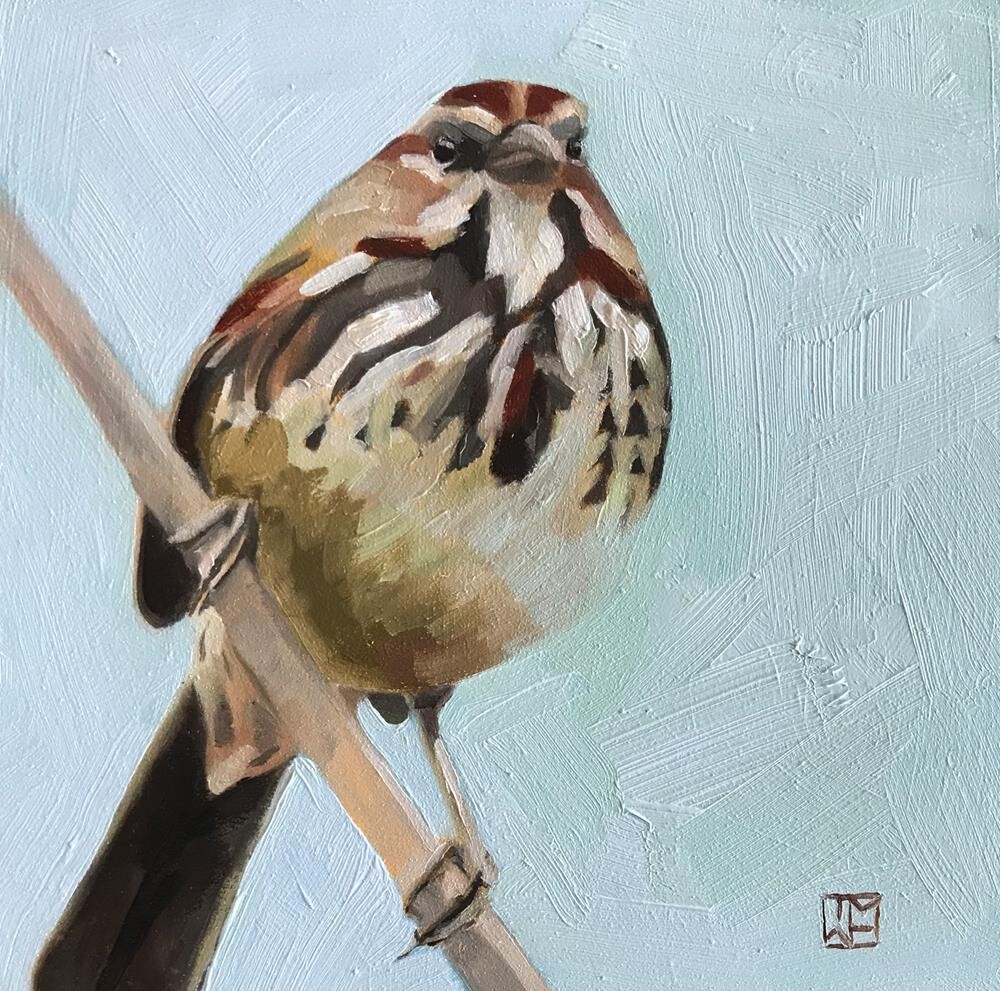 "Song Sparrow" by Tracy Hurley