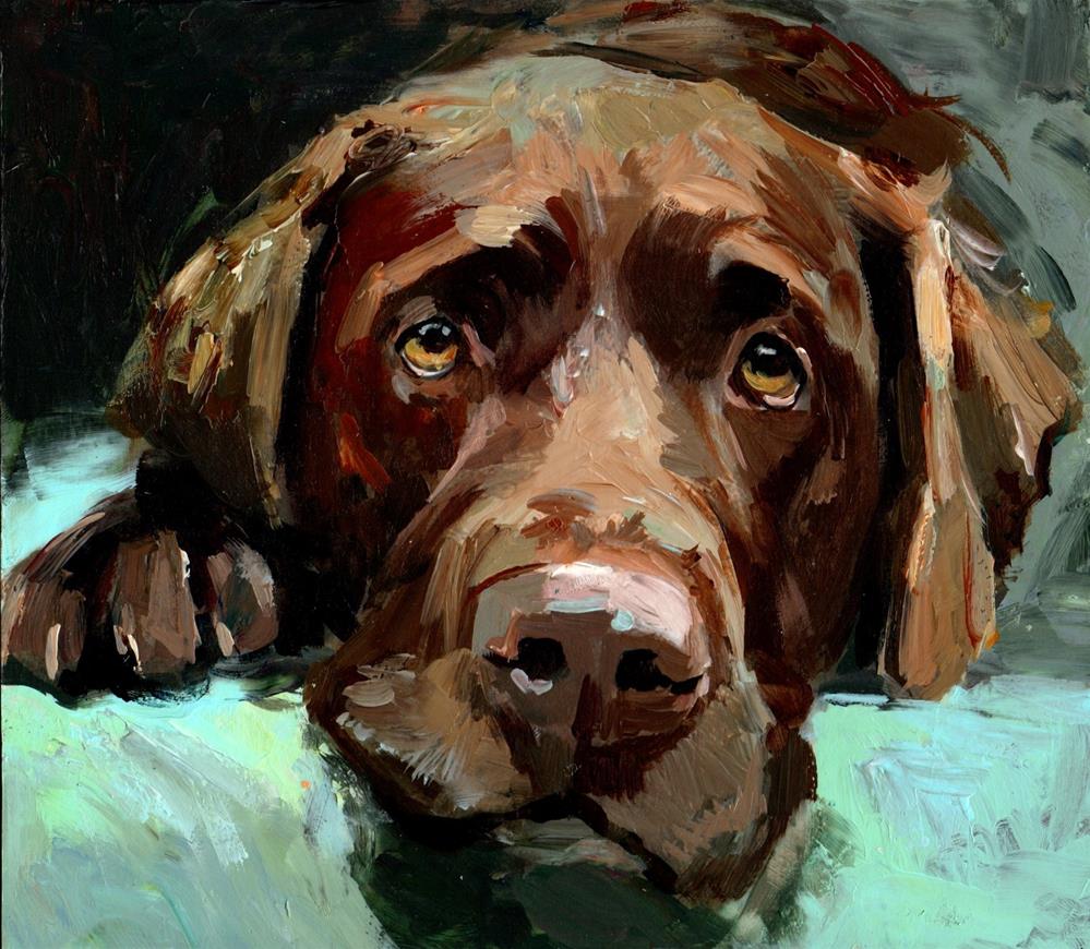 "Choco , a portrait of a brown labra..." by adam deda