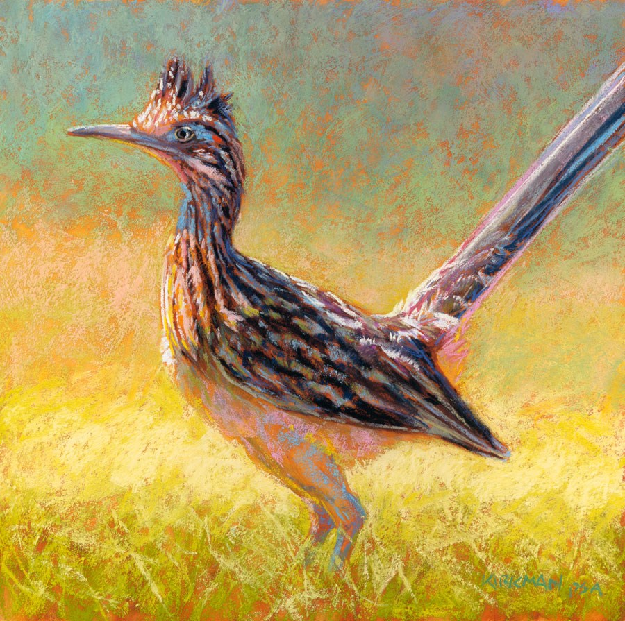 "R is for Roadrunner" by Rita Kirkman