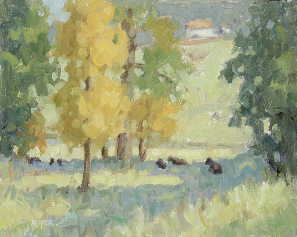 "In The Shade" by Stuart Roper