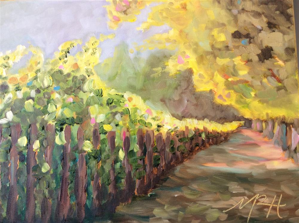 "Misty Morning Vineyard" by Molly Rohrscheib Hathaway