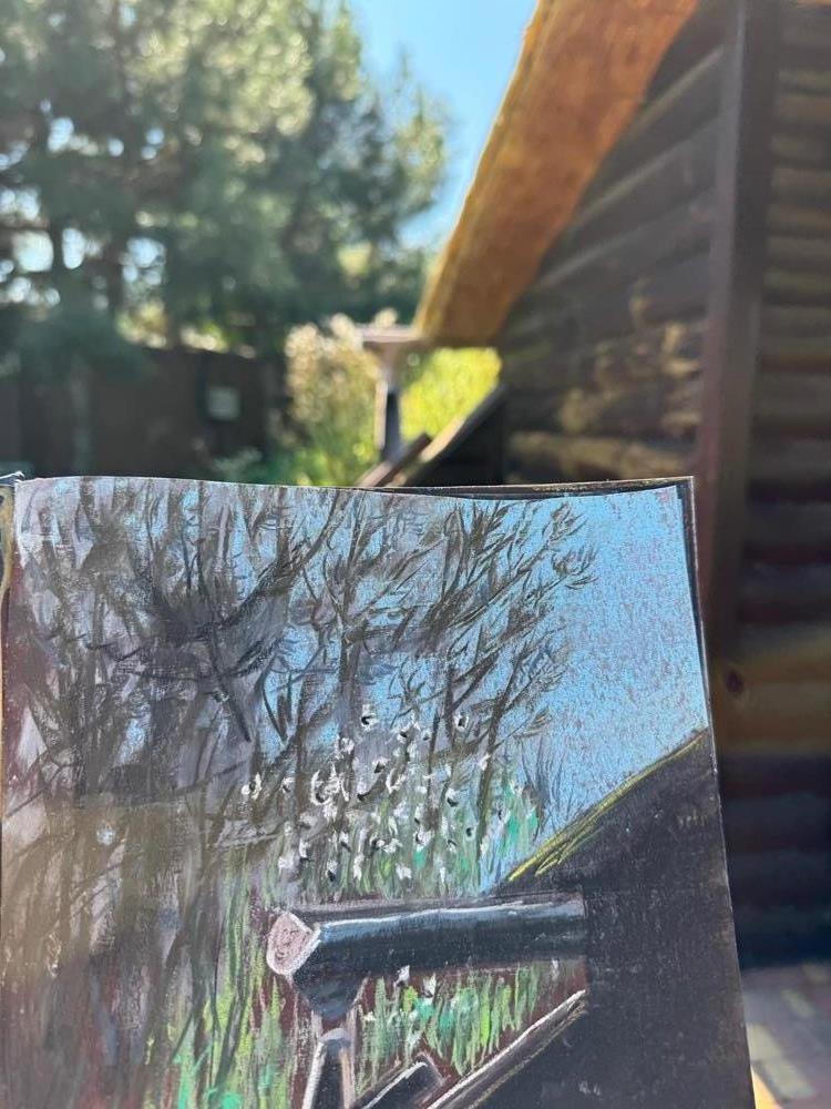 "Plein air. Not far from Kyiv. Augus..." by Elena Nesterova