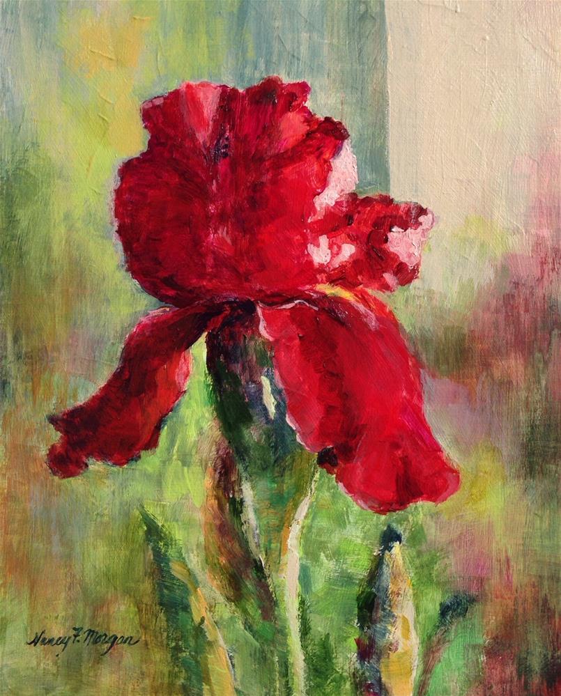 "Red Iris" by Nancy F. Morgan