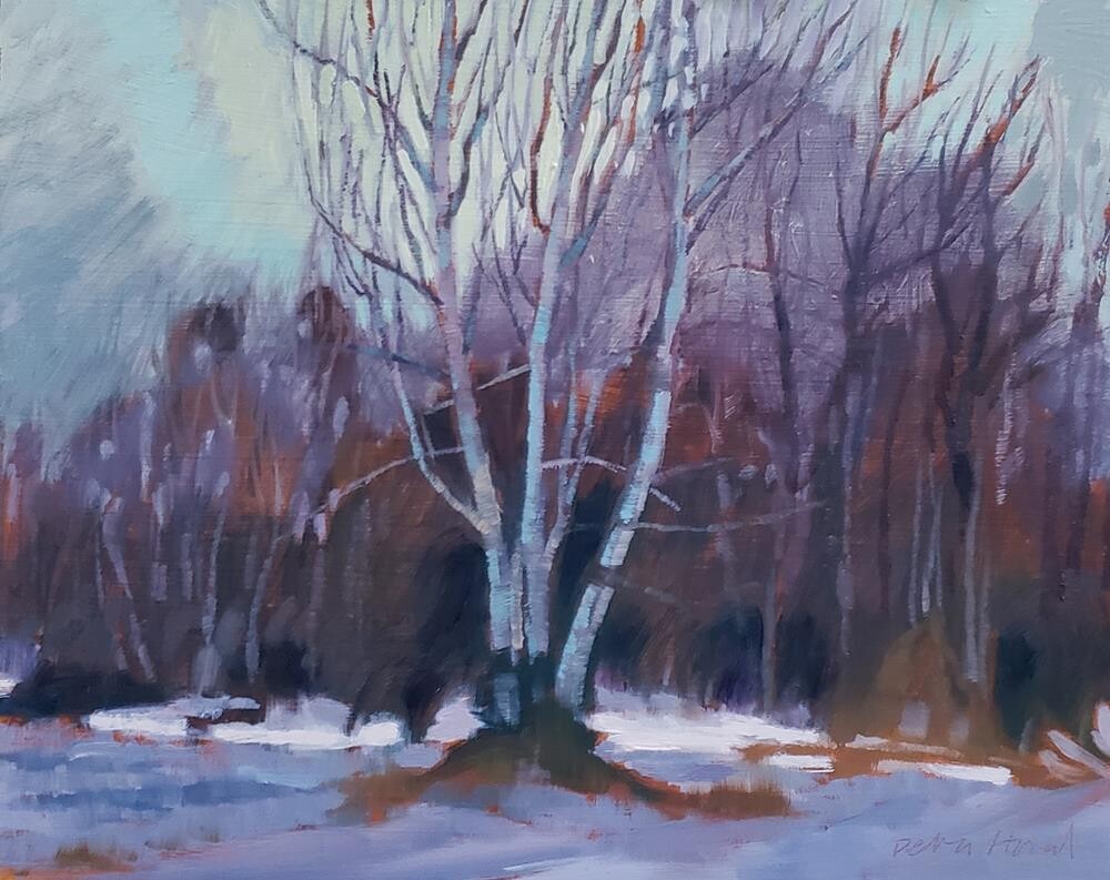 "The Glow of the Snow" by Debra Howard
