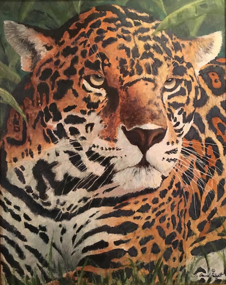 "Jaguar Portrait" by David Padgett