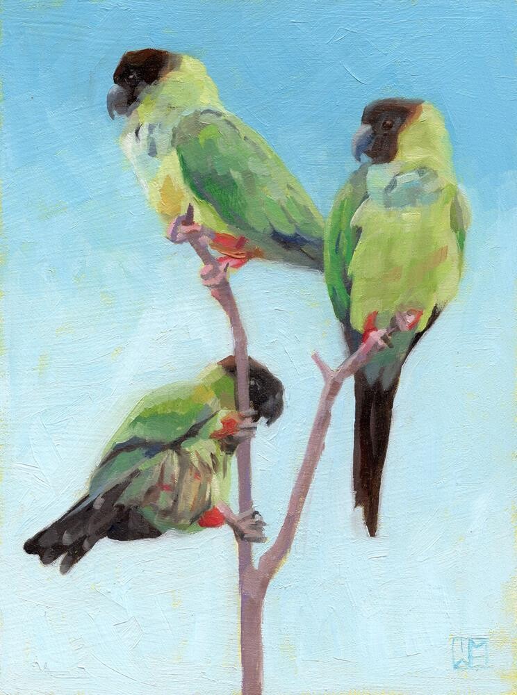 "Nanday Trio" by Tracy Hurley