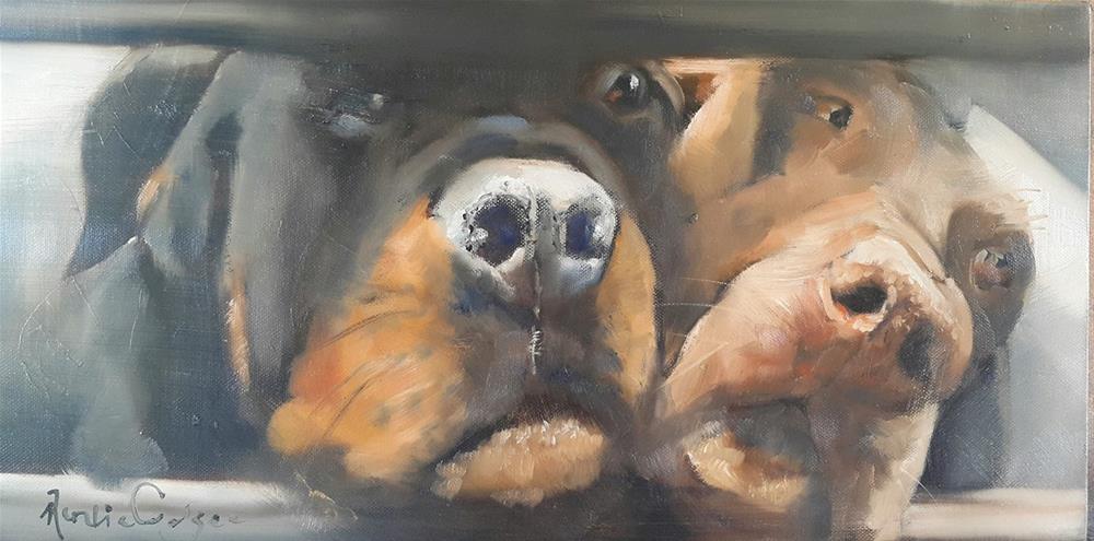 "Bakkieboere" by Rentia Coetzee