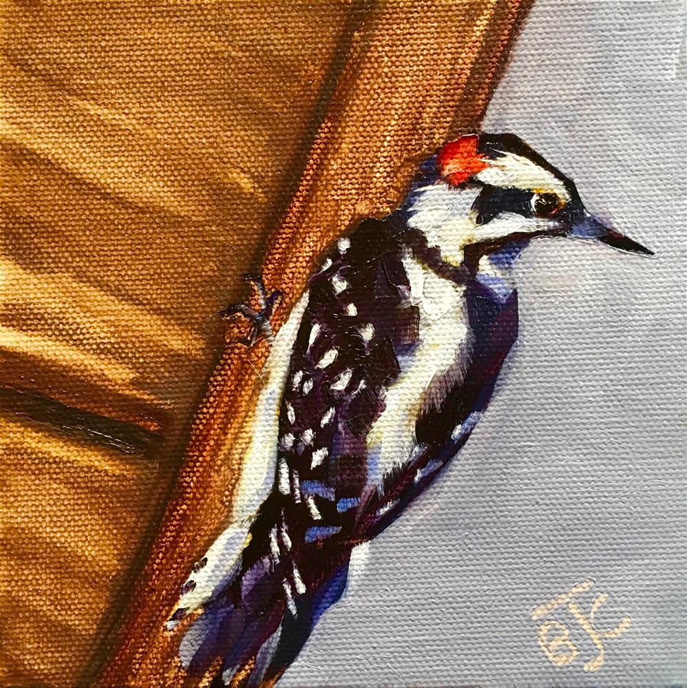 "Downy Woodpecker" by Bobbie Cook