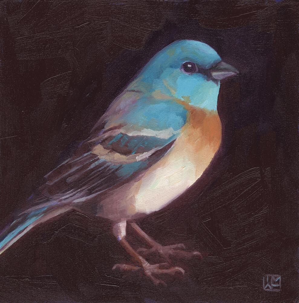 "Lazuli Bunting" by Tracy Hurley