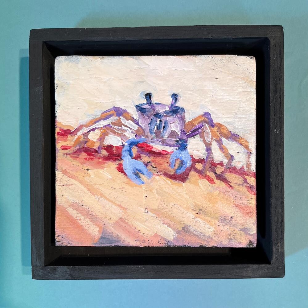 "Little Sand Crab" by Anna Edwards
