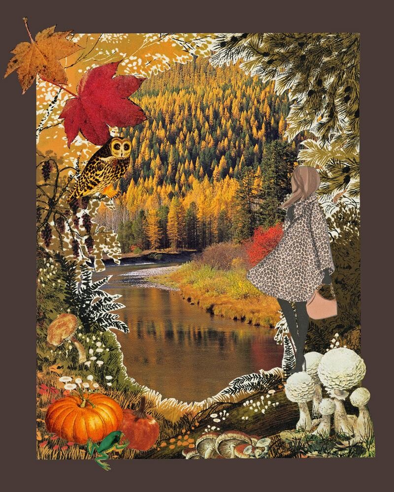 "The Pond" by Susan Rose Cook