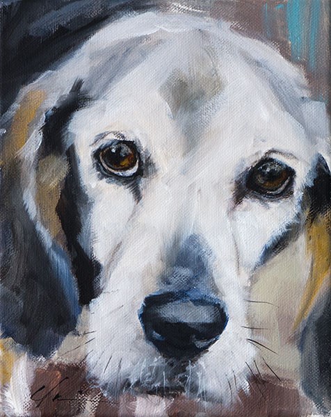 "Show Update..." by clair Hartmann