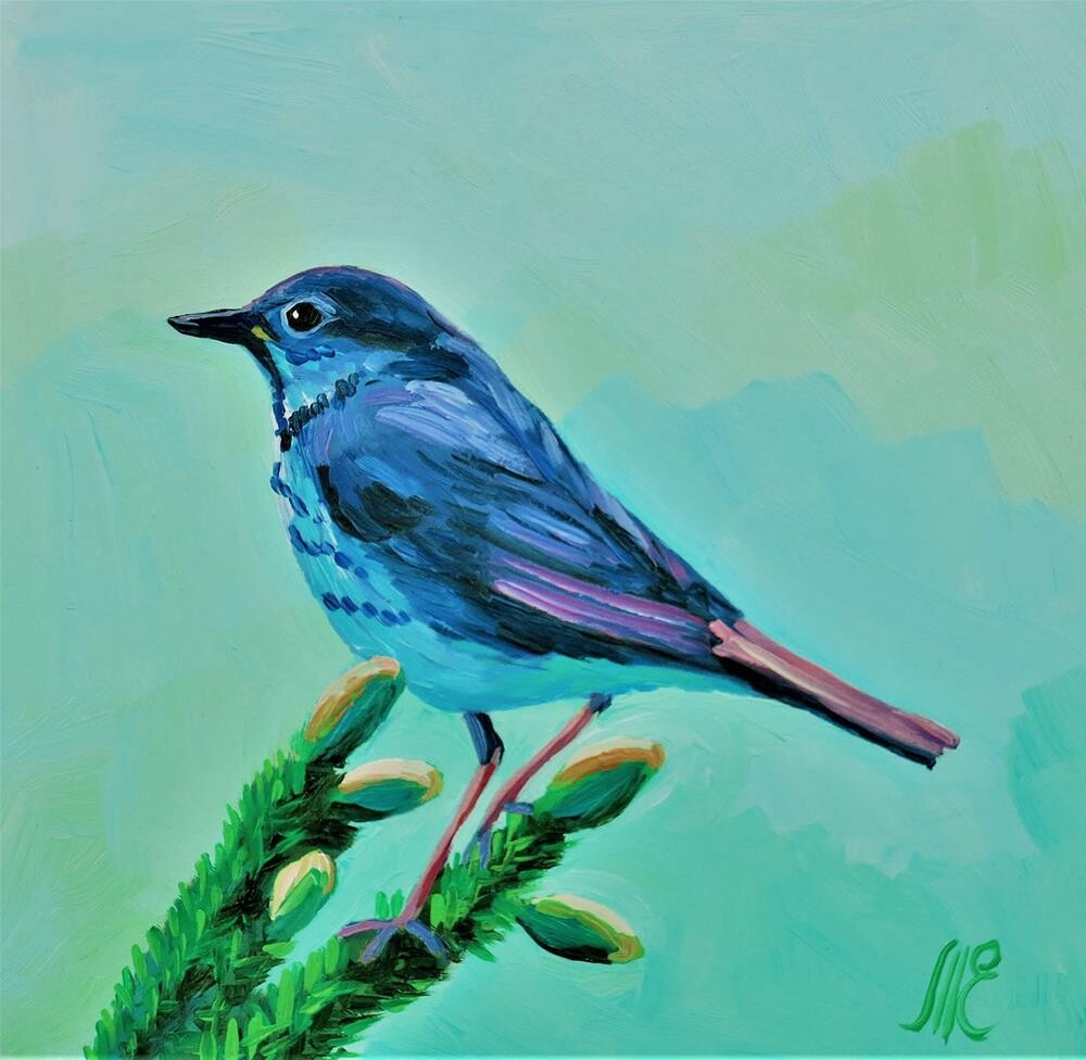 "Hermit Thrush" by Elena Menshikova