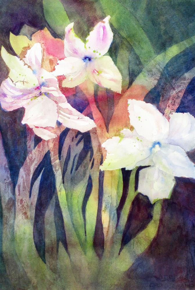 "Amaryllis" by Julie Crouch