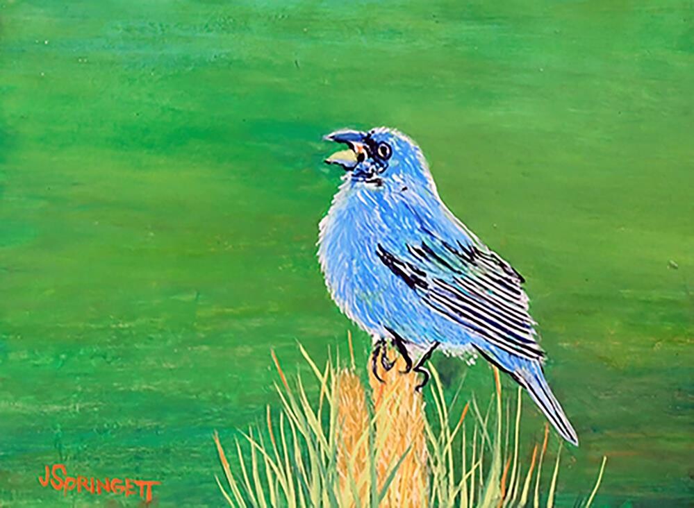 "Spring's Melody" by Jim Springett