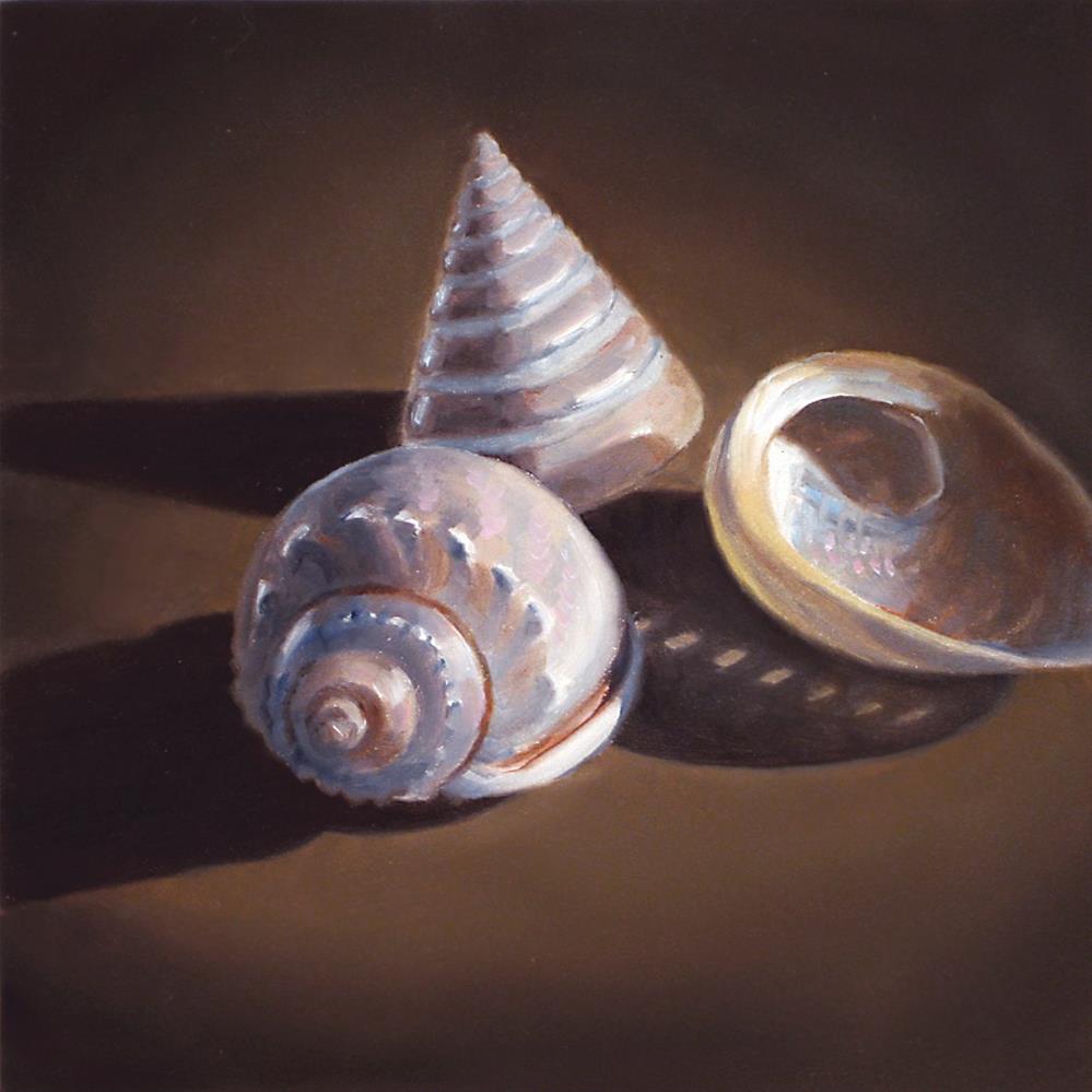 "Three Seashells" by Nance Danforth