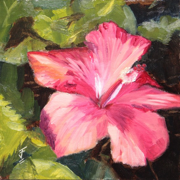 "Hibiscus" by Jane Frederick