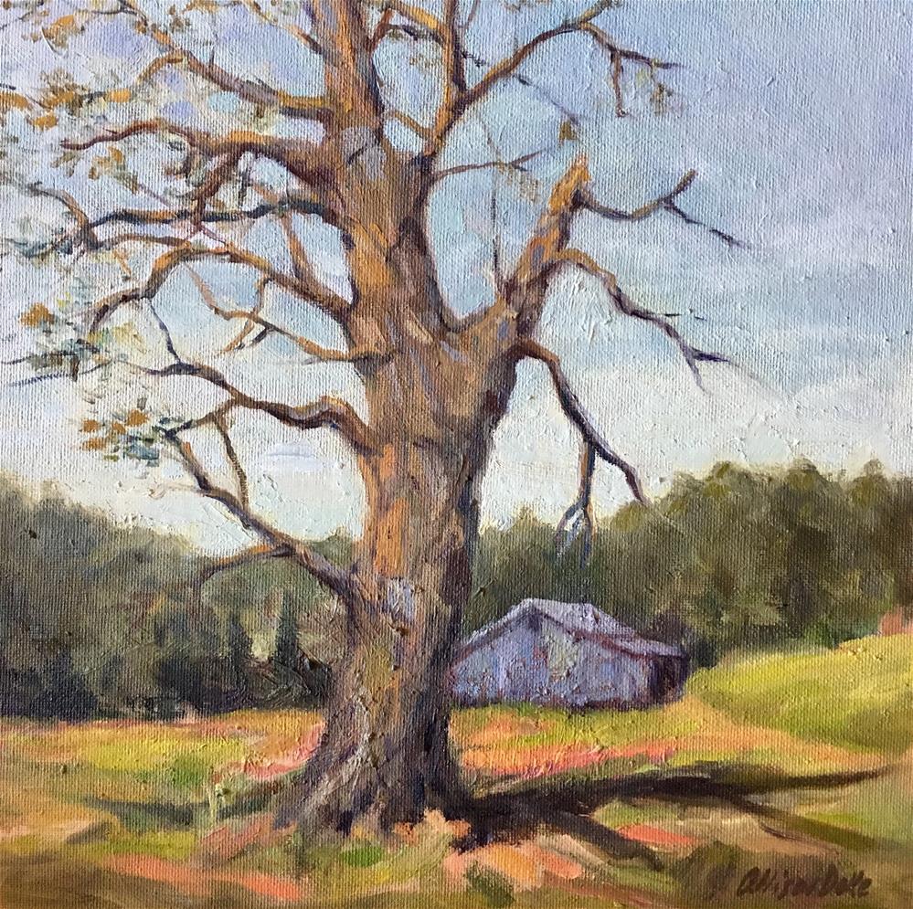 "The Old General" by Allison Doke