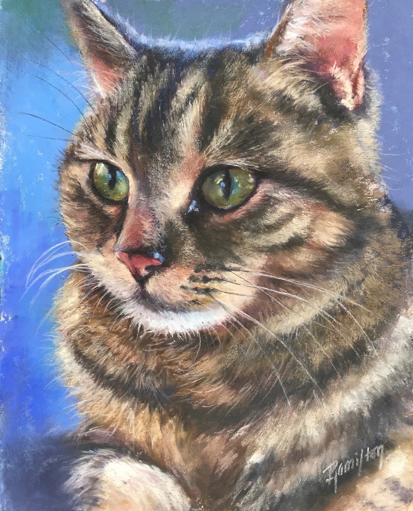 "Woobie" by Pamela Hamilton