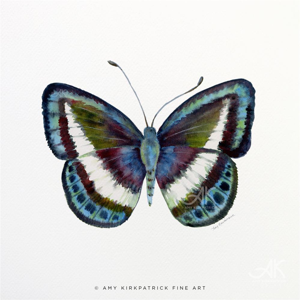 "#40 Danis Danis Butterfly #0349" by Amy Kirkpatrick