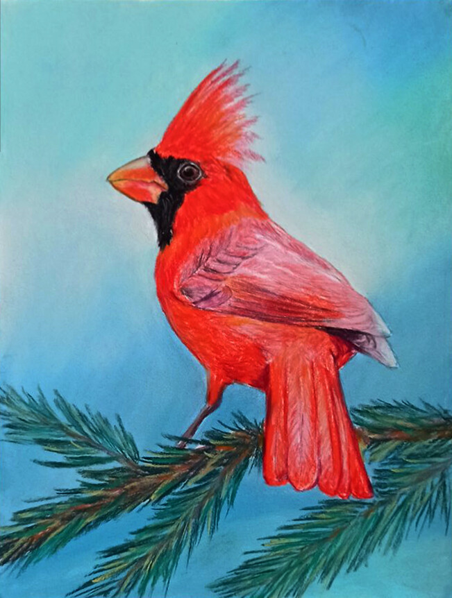 "Red Cardinal Painting Bird on branc..." by Iryna Mikhailenko