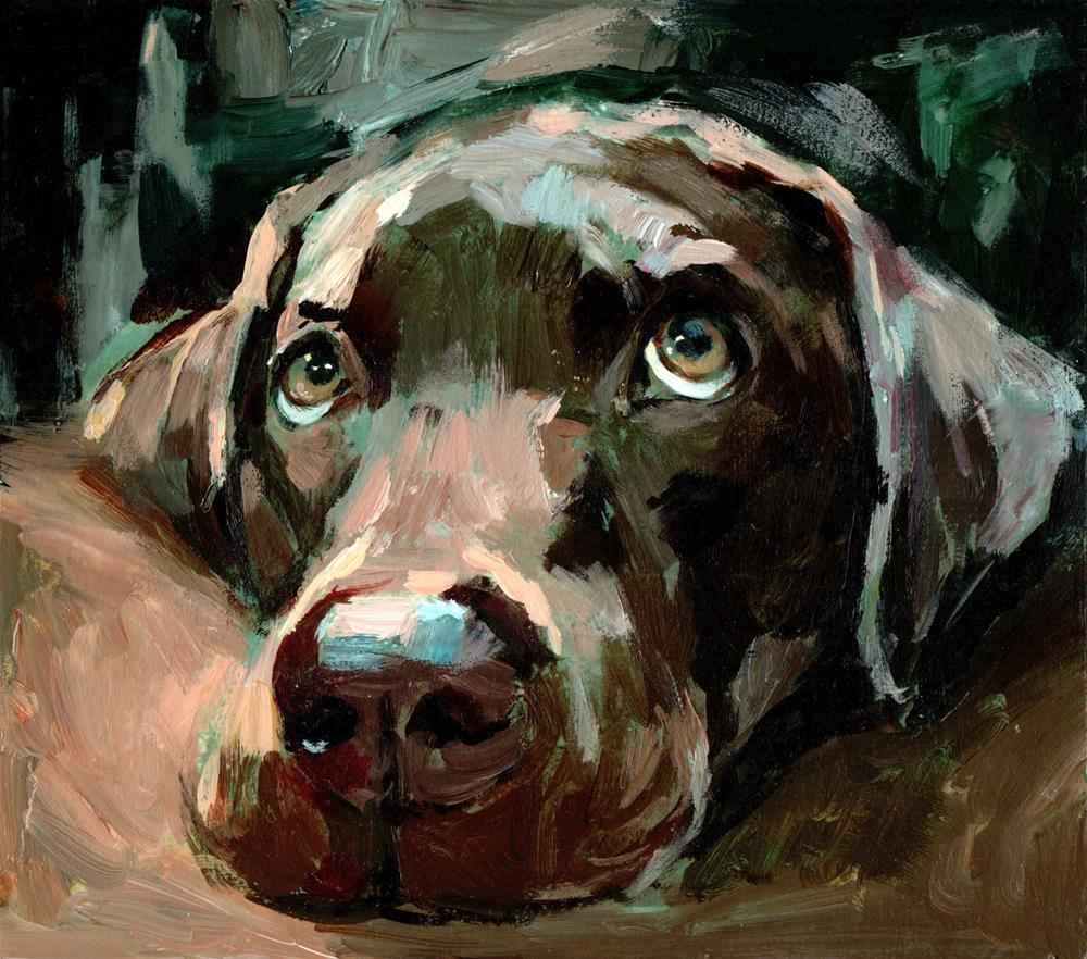 "CHOCO , dog, brown labrador" by adam deda