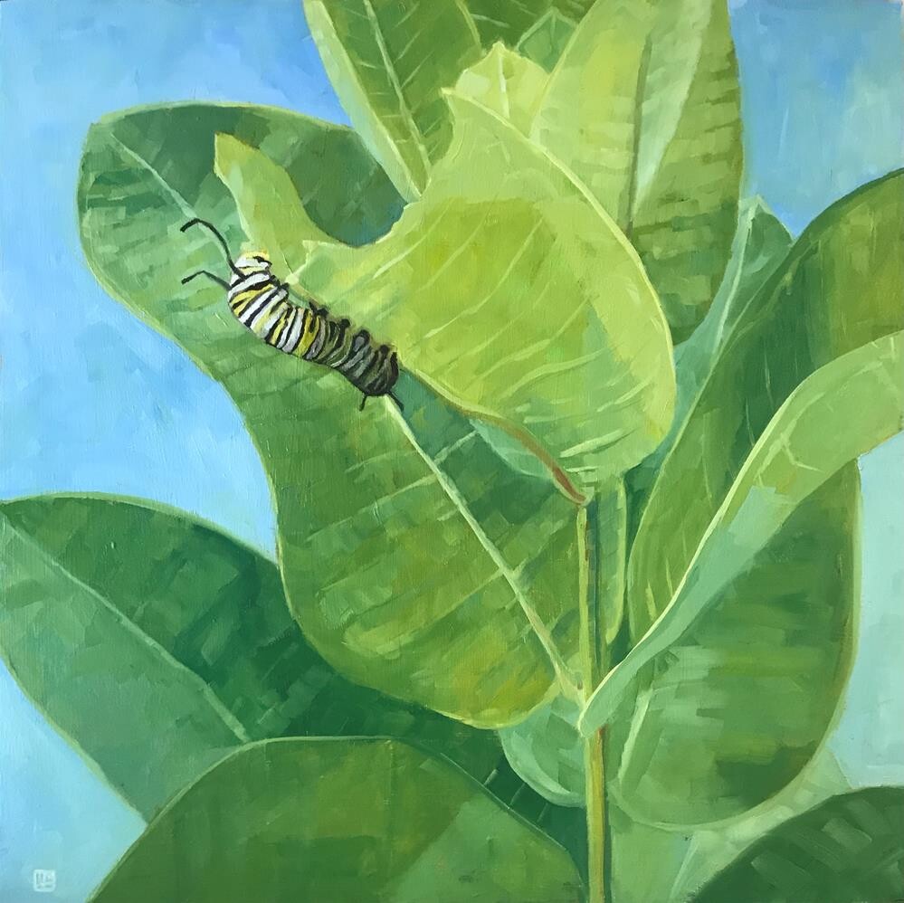 "Monarch" by Tracy Hurley
