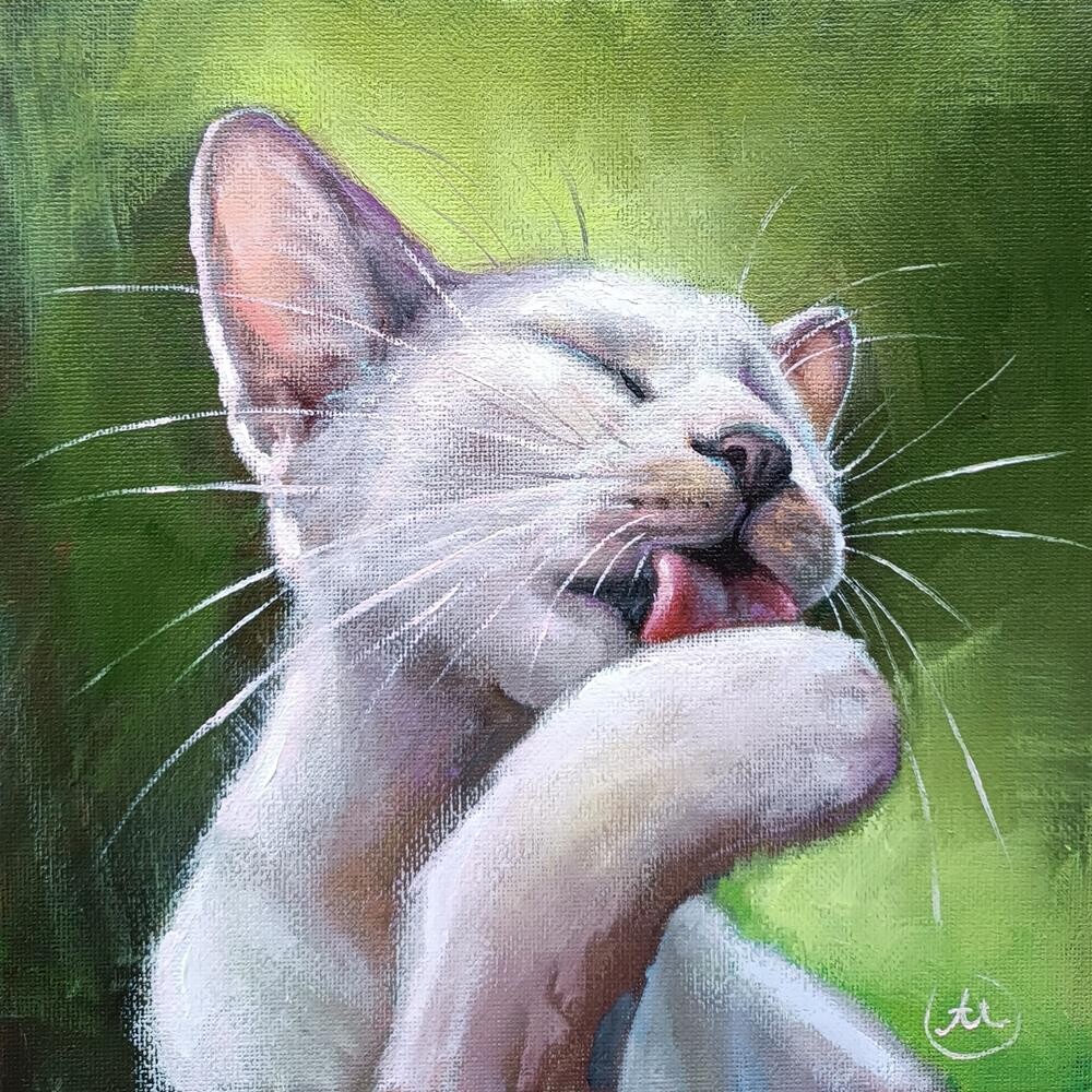 "Unflappable" by Alona M