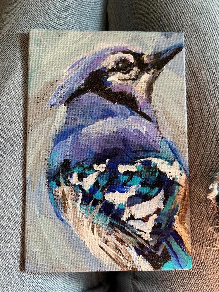 "Bossy Jay" by Anna Edwards