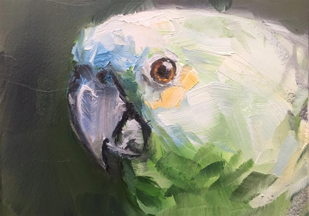 "Blue Fronted Amazon Portrait" by Gary Bruton