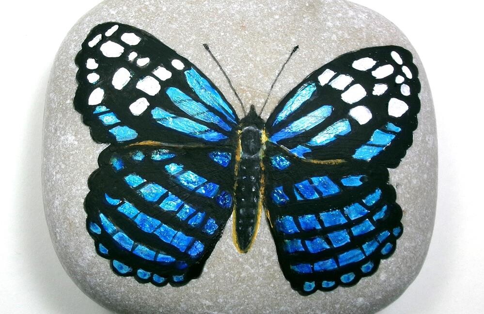 "MEXICAN BLUEWING #2" by Donna Els Theis