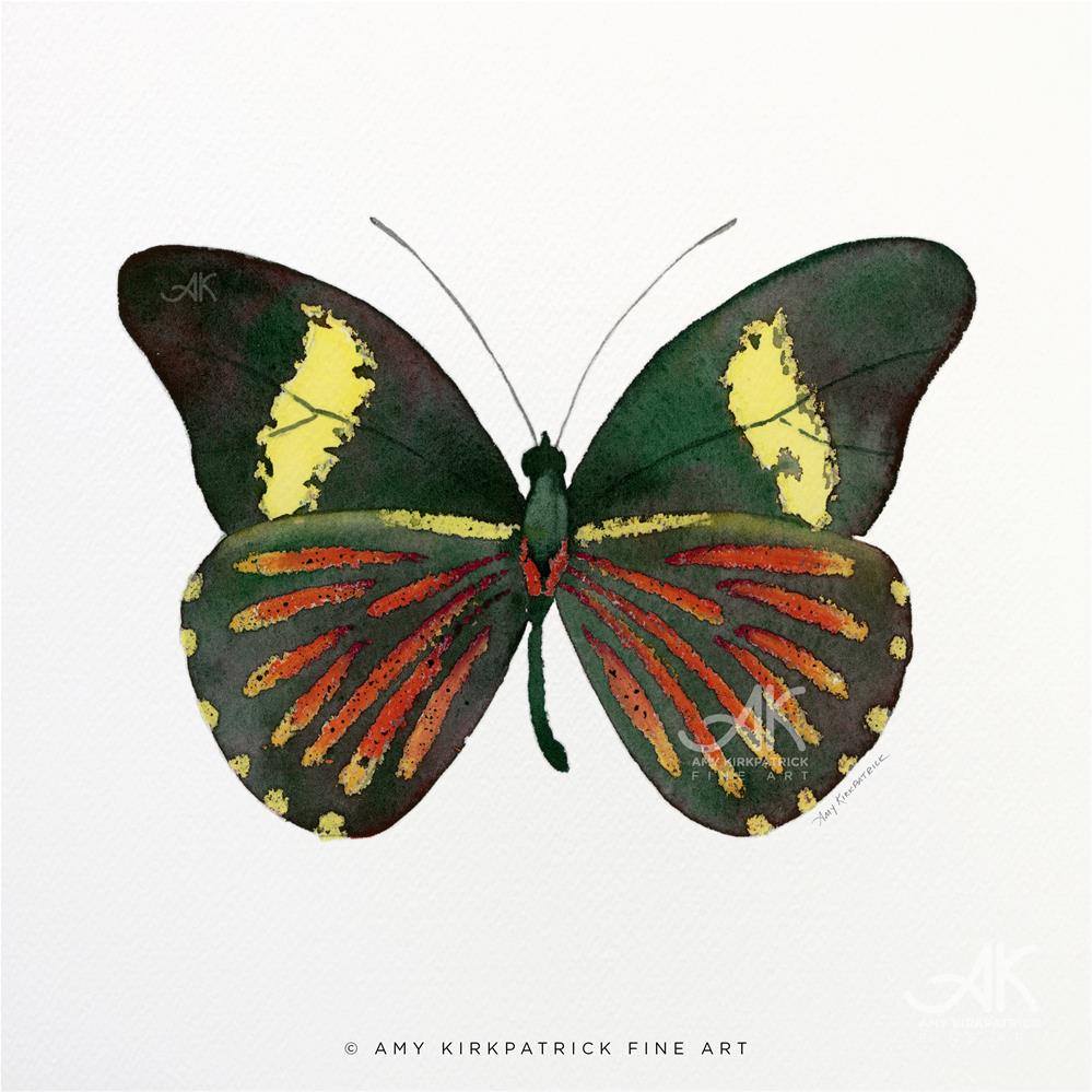"#86 Archonias Butterfly #0396" by Amy Kirkpatrick