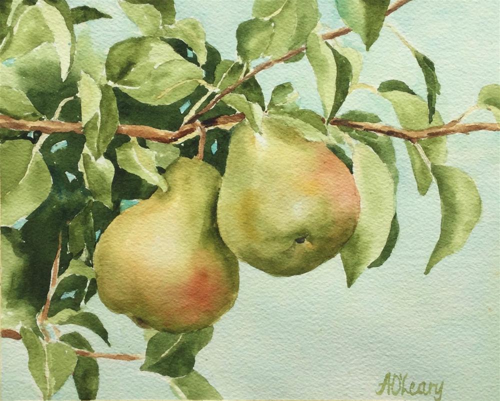 "Pear Tree" by Alice O'Leary