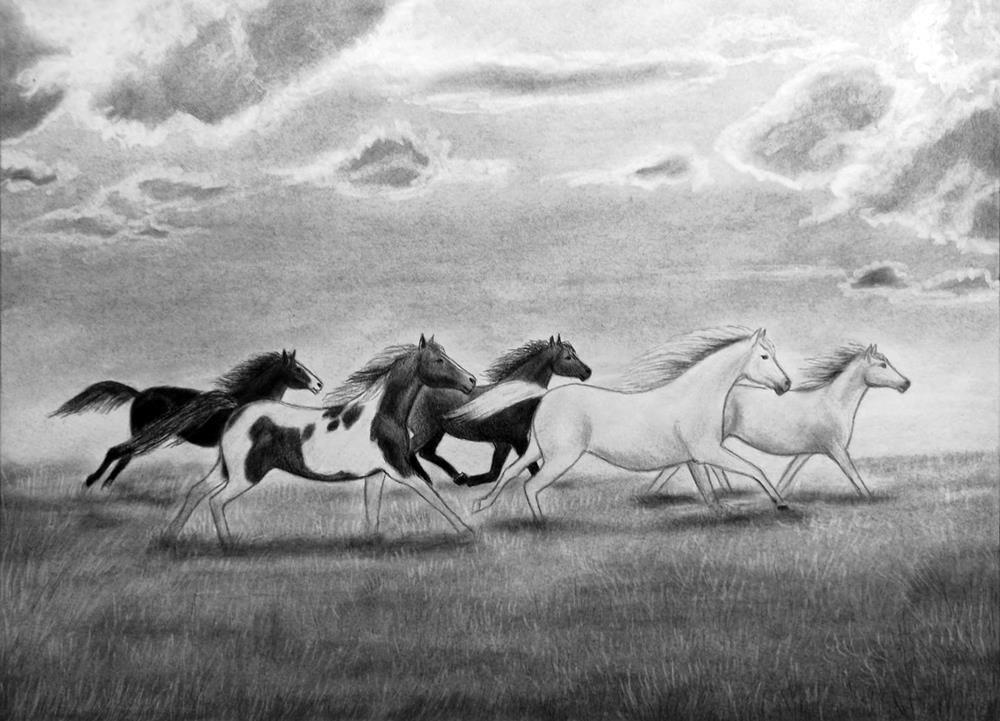 "Charcoal horse drawing Custom horse..." by Iryna Mikhailenko