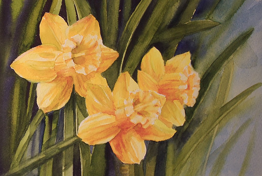 "Three Daffodils" by Mary Anderson