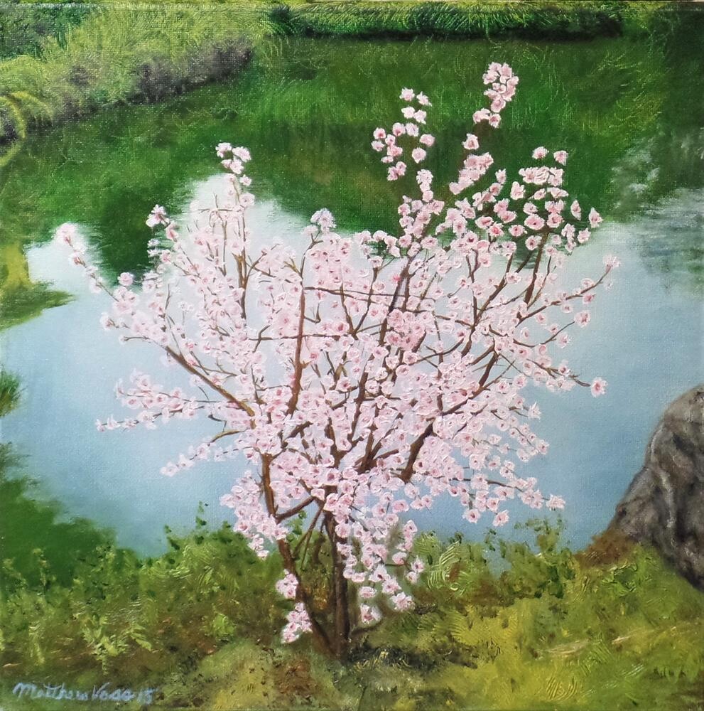 "Cherry Blossoms" by Matthew Voss