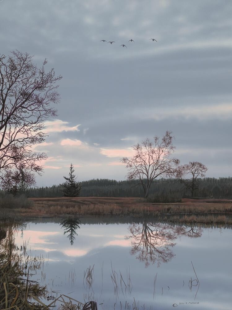 "The Next Five" by Peter Mathios