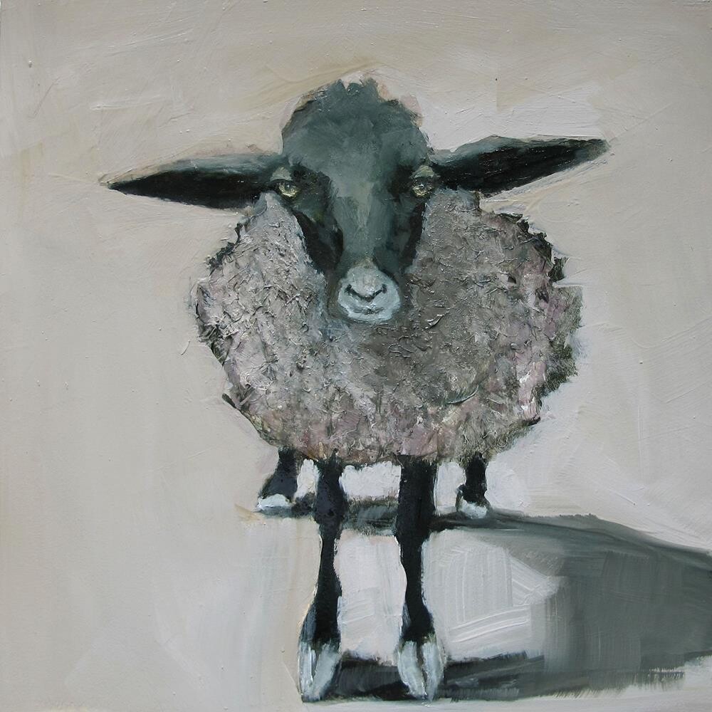 "SHEEP" by Colette Davis