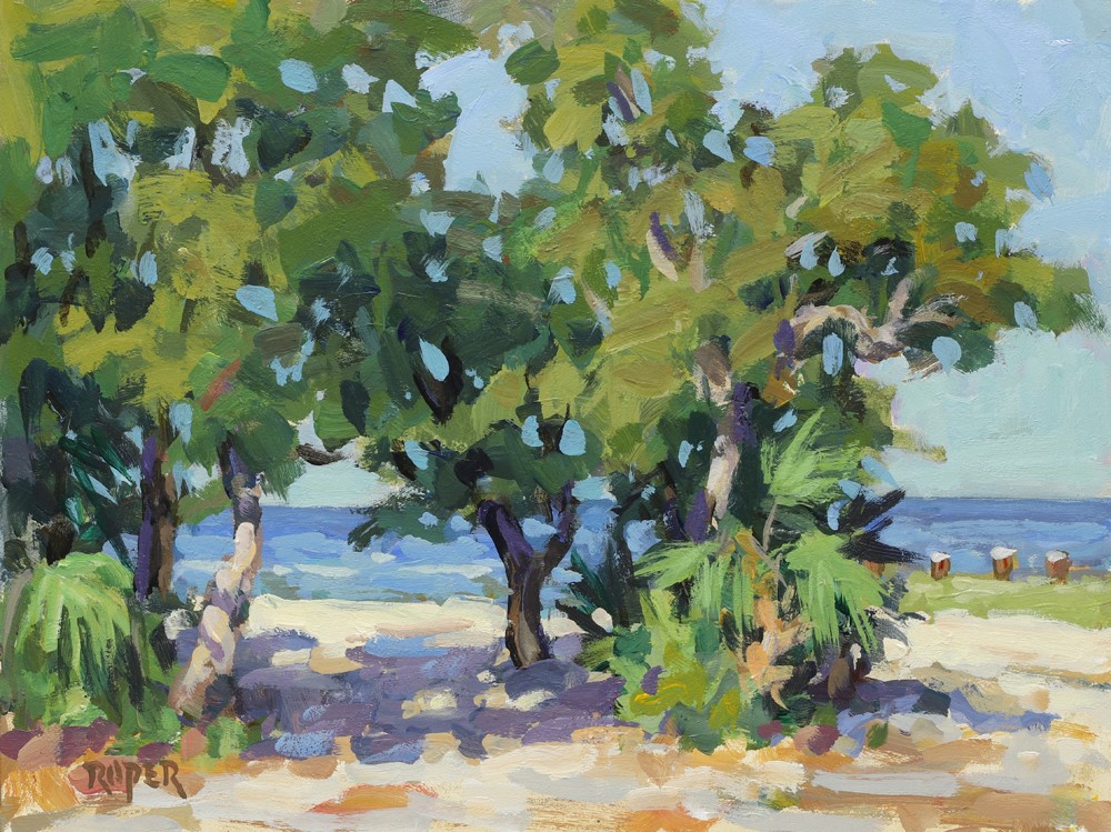 "The Forgotten Coast" by Stuart Roper