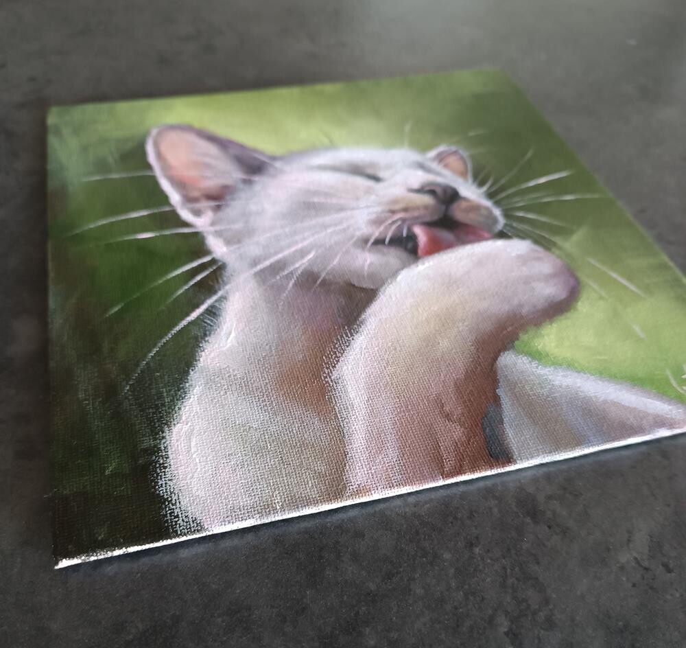 "Unflappable" by Alona M